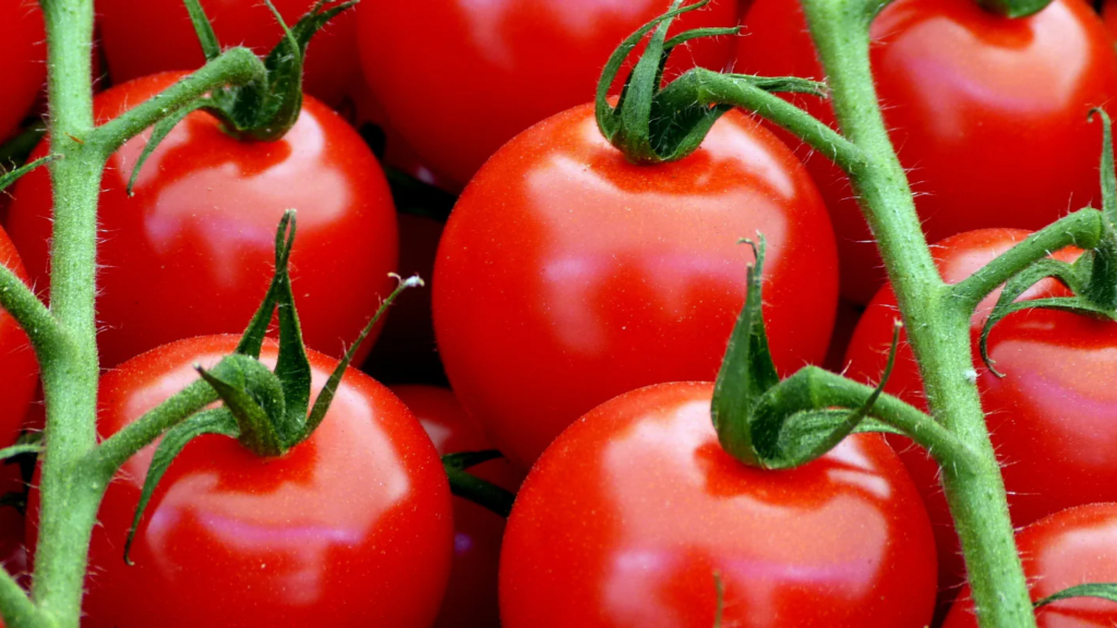 Everything You Need to Know About Tomato Prices - Hustle Weekly